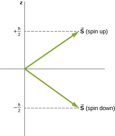 8.3 Electron Spin - University Physics Volume 3 | OpenStax