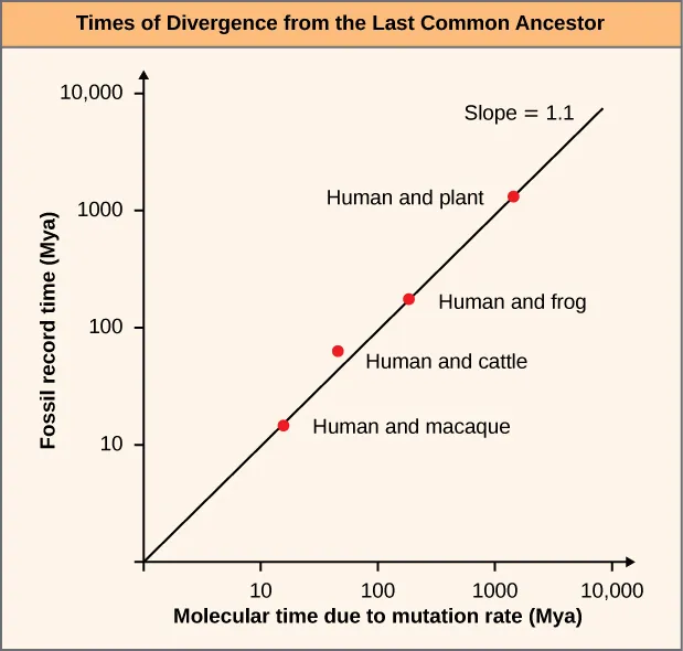 Ch. 18 Science Practice Challenge Questions - Biology for AP® Courses ...