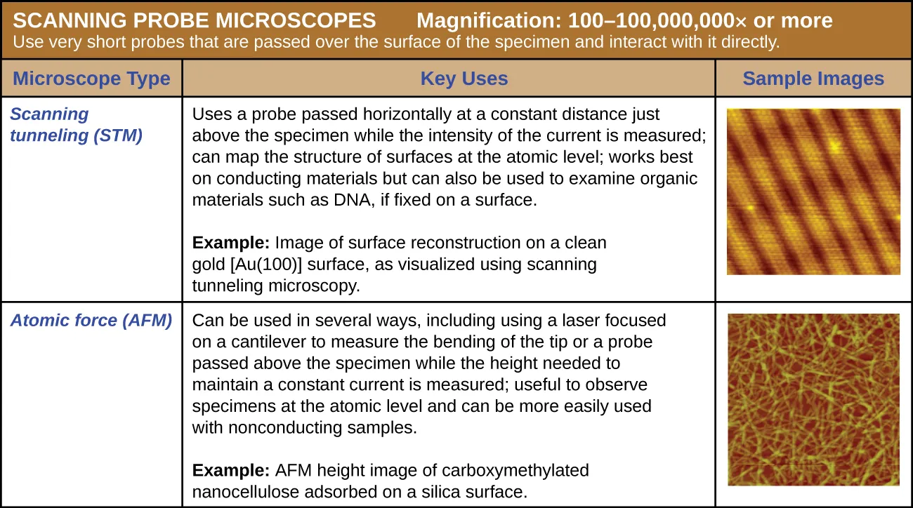 scanning tunneling microscope uses