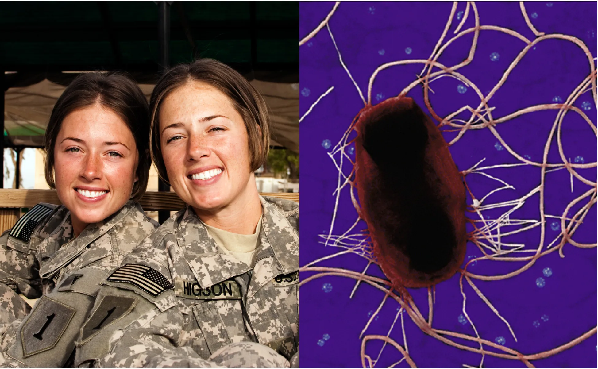 Ch. 10 Introduction - Microbiology | OpenStax