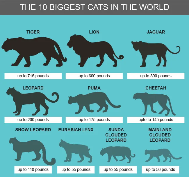 Ch. 24 Test Prep for AP® Courses - Biology for AP® Courses | OpenStax