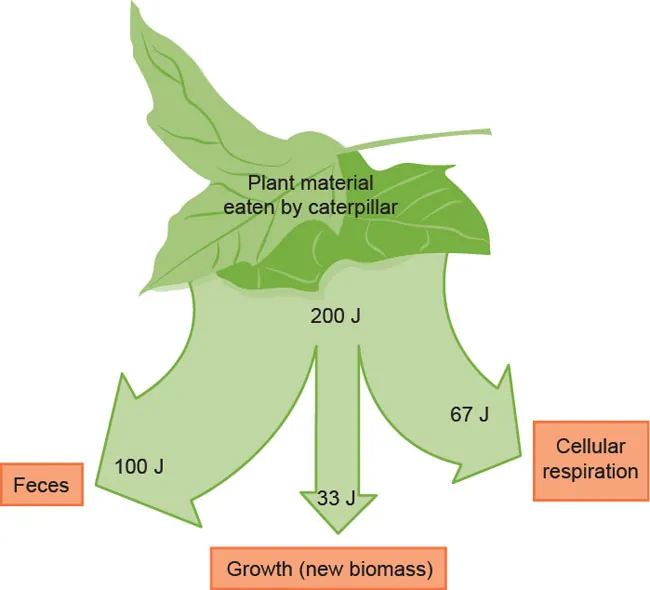 Ch. 37 Review Questions - Biology for AP® Courses | OpenStax