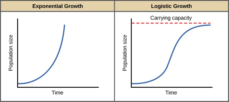 population distribution patterns examples