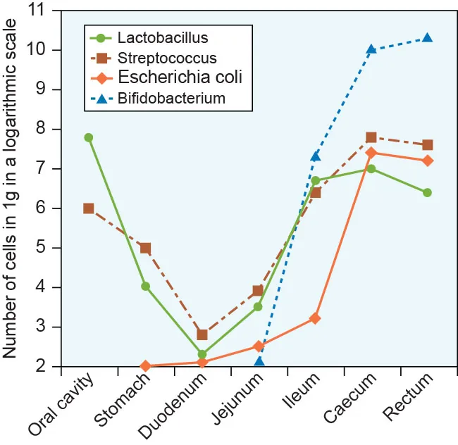 Ch. 25 Critical Thinking Questions - Biology for AP® Courses | OpenStax