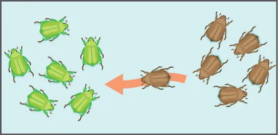 11.2 Mechanisms of Evolution - Concepts of Biology | OpenStax