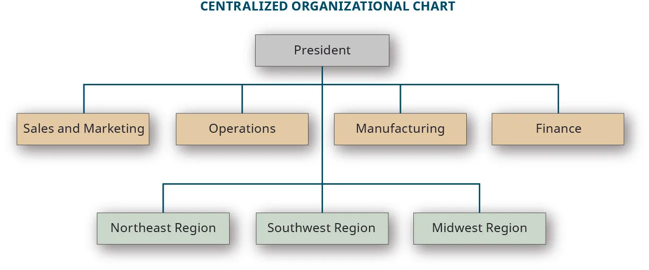 Centralized Organization