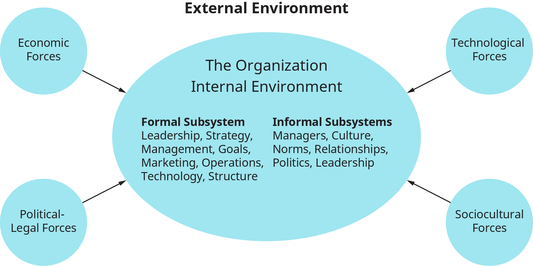 Internal Environment