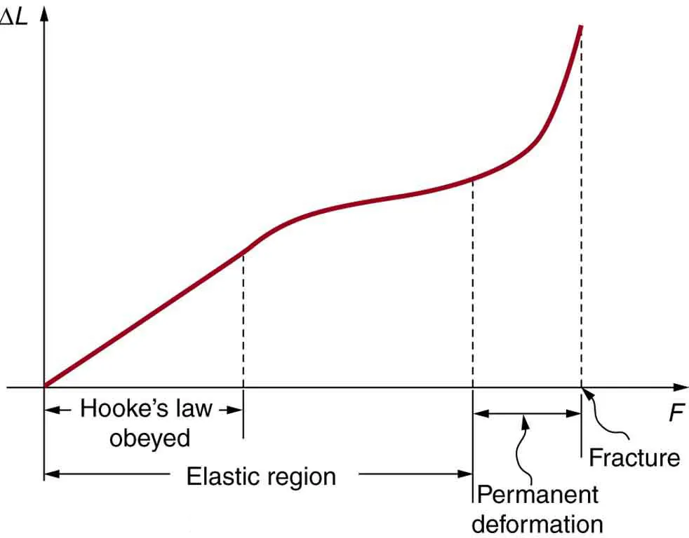 5.3 Elasticity: Stress and Strain - College Physics | OpenStax