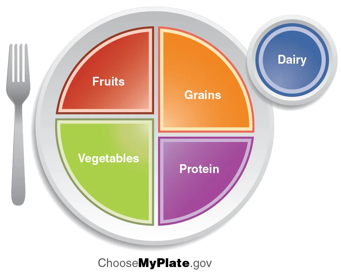 24.7 Nutrition and Diet - Anatomy and Physiology | OpenStax