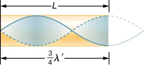 17.4 Normal Modes of a Standing Sound Wave - University Physics Volume ...
