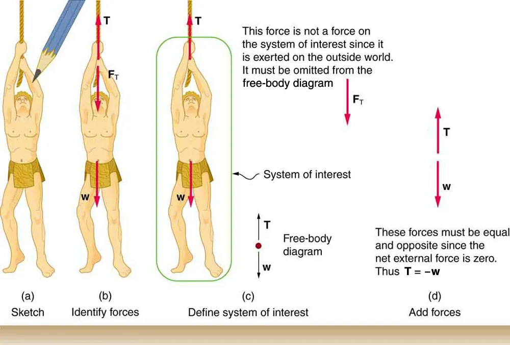4.6 Problem-Solving Strategies - College Physics 2e | OpenStax