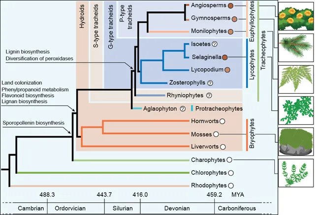 Ch. 20 Test Prep for AP® Courses - Biology for AP® Courses | OpenStax