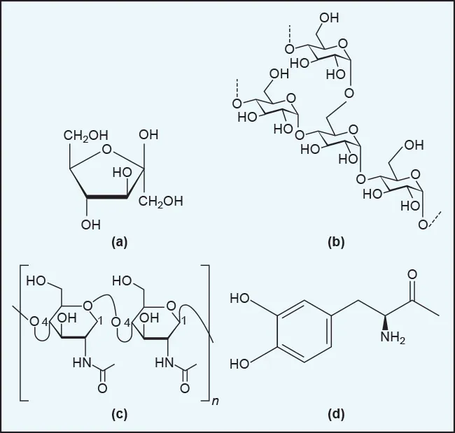 3.2 Carbohydrates - Biology for AP® Courses | OpenStax