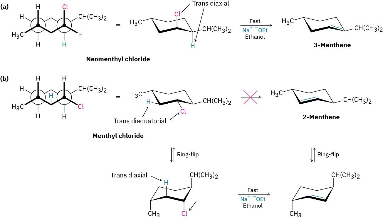 11.9 The E2 Reaction and Cyclohexane Conformation - Organic Chemistry ...