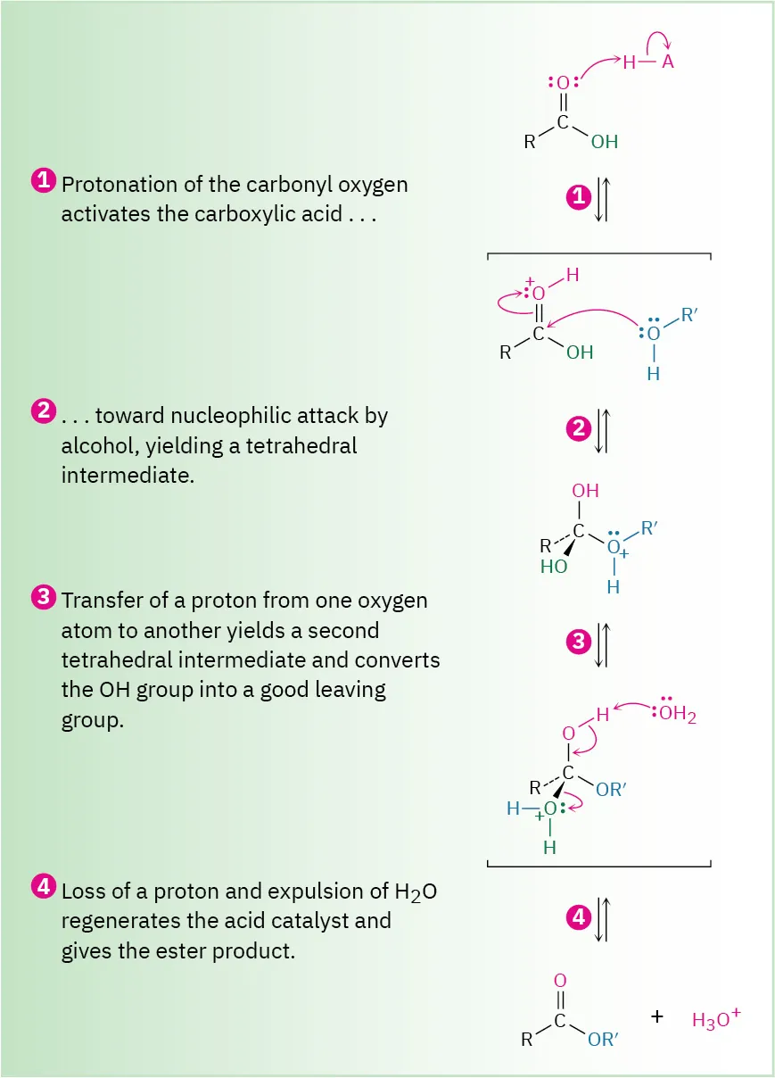 21.3 Reactions of Carboxylic Acids - Organic Chemistry | OpenStax