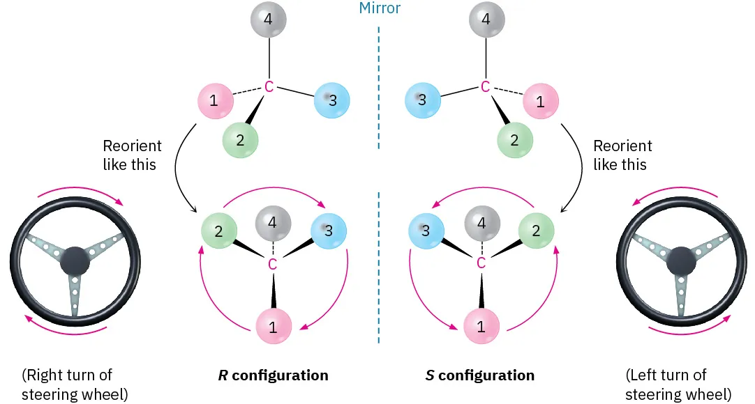 5.5 Sequence Rules for Specifying Configuration - Organic Chemistry ...