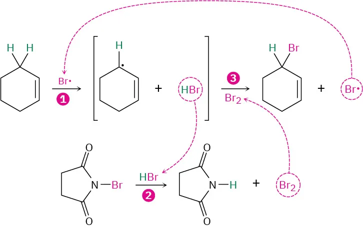 10.3 Preparing Alkyl Halides from Alkenes: Allylic Bromination - Organic Chemistry | OpenStax