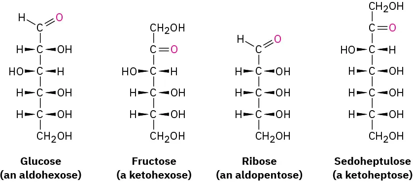 25.1 Classification of Carbohydrates - Organic Chemistry | OpenStax