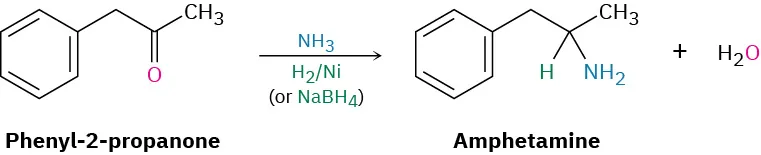 24.6 Synthesis of Amines - Organic Chemistry | OpenStax