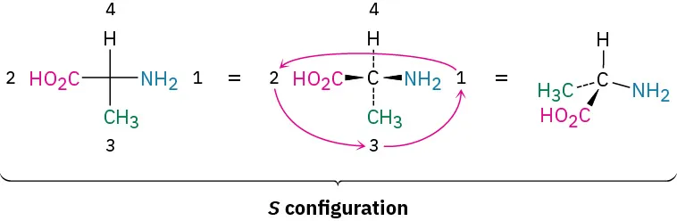 25.2 Representing Carbohydrate Stereochemistry: Fischer Projections ...