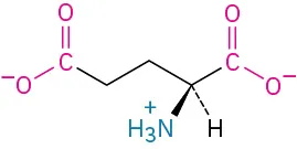 26.1 Structures of Amino Acids - Organic Chemistry | OpenStax