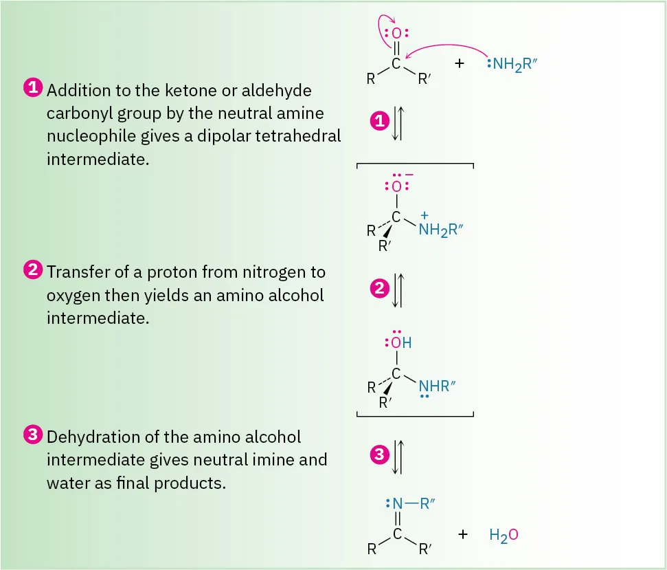 Ch. 18 Preview of Carbonyl Chemistry - Organic Chemistry | OpenStax