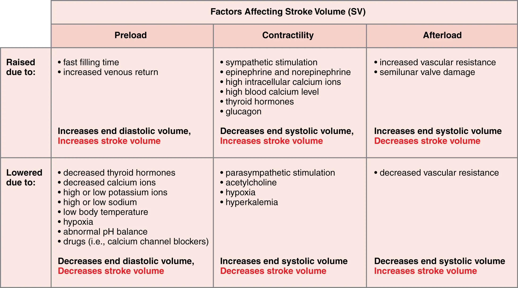 19.4 Cardiac Physiology - Anatomy and Physiology | OpenStax