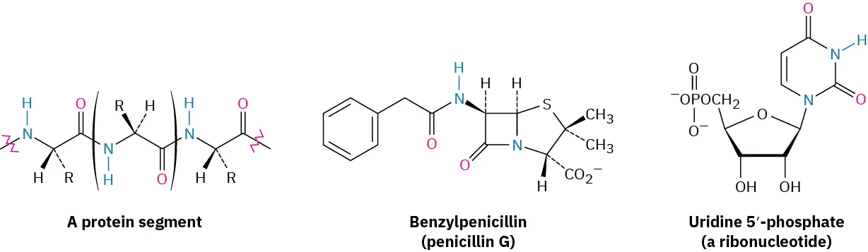 21.7 Chemistry of Amides - Organic Chemistry | OpenStax