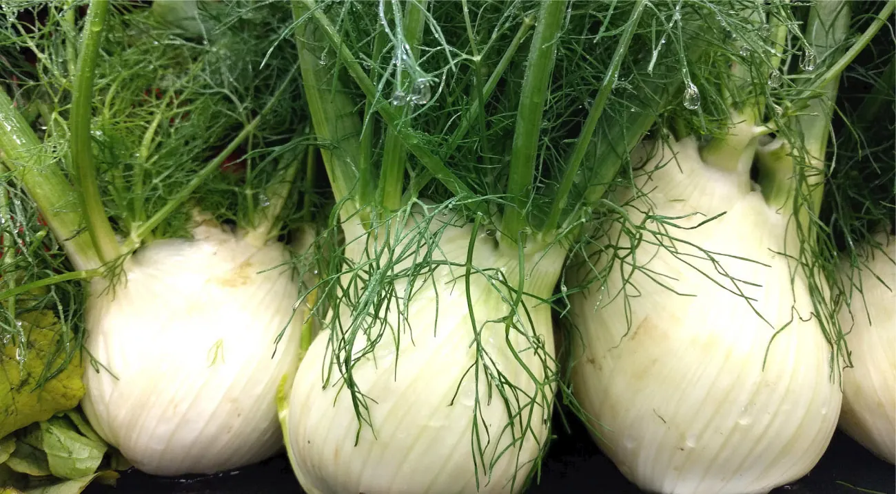 Ch. 15 Why This Chapter? - Organic Chemistry | OpenStax