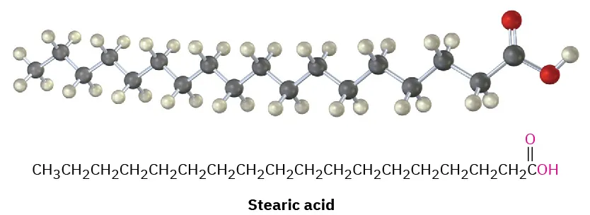 27.1 Waxes, Fats, and Oils - Organic Chemistry | OpenStax