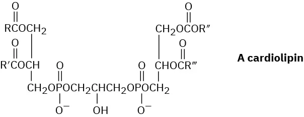 Ch. 27 Additional Problems - Organic Chemistry | OpenStax