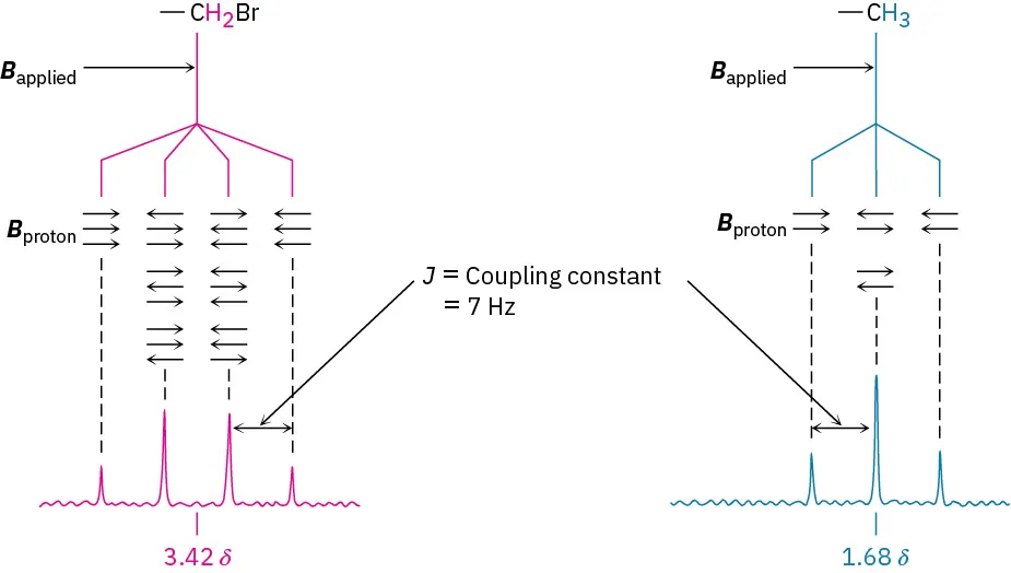 13.6 Spin–Spin Splitting in 1H NMR Spectra - Organic Chemistry | OpenStax