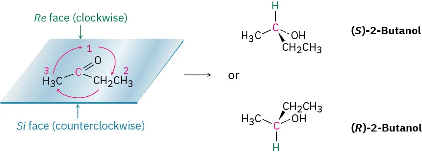 5.11 Prochirality - Organic Chemistry | OpenStax