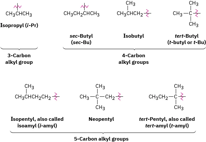 3.4 Naming Alkanes - Organic Chemistry | OpenStax