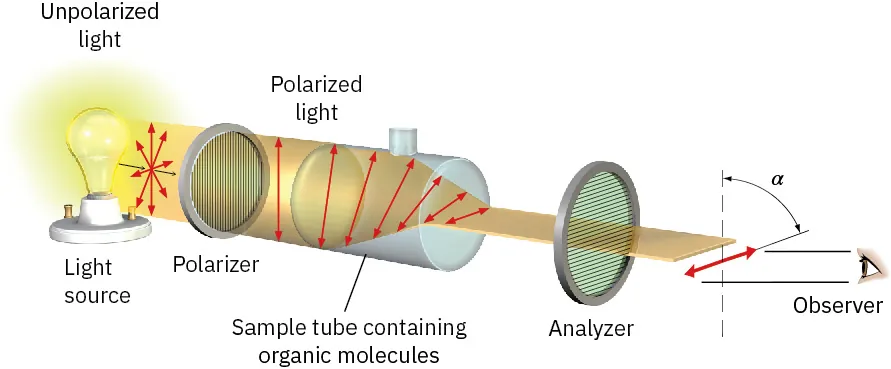 5.3 Optical Activity - Organic Chemistry | OpenStax