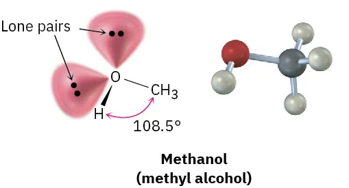 1.10 Hybridization of Nitrogen, Oxygen, Phosphorus, and Sulfur ...