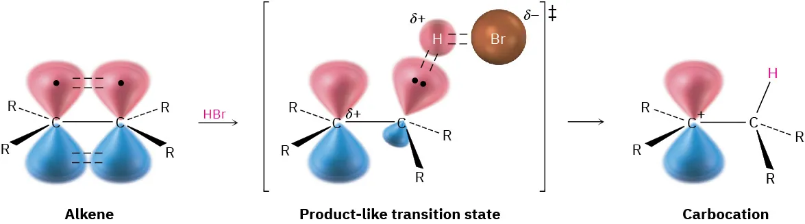 7.10 The Hammond Postulate - Organic Chemistry | OpenStax