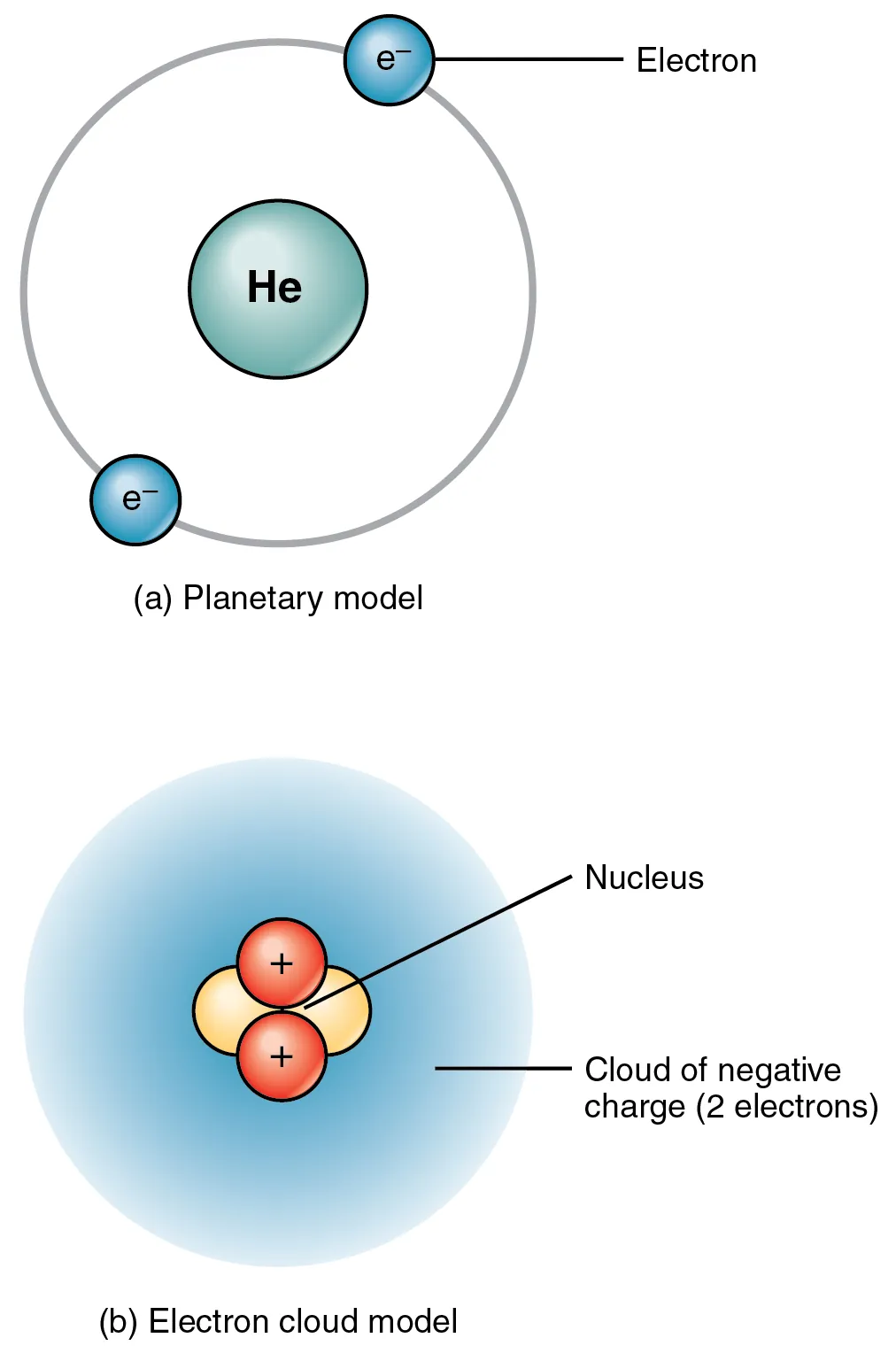 2.1 Elements and Atoms: The Building Blocks of Matter - Anatomy and ...