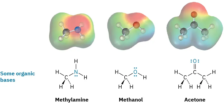 2.10 Organic Acids and Organic Bases - Organic Chemistry | OpenStax