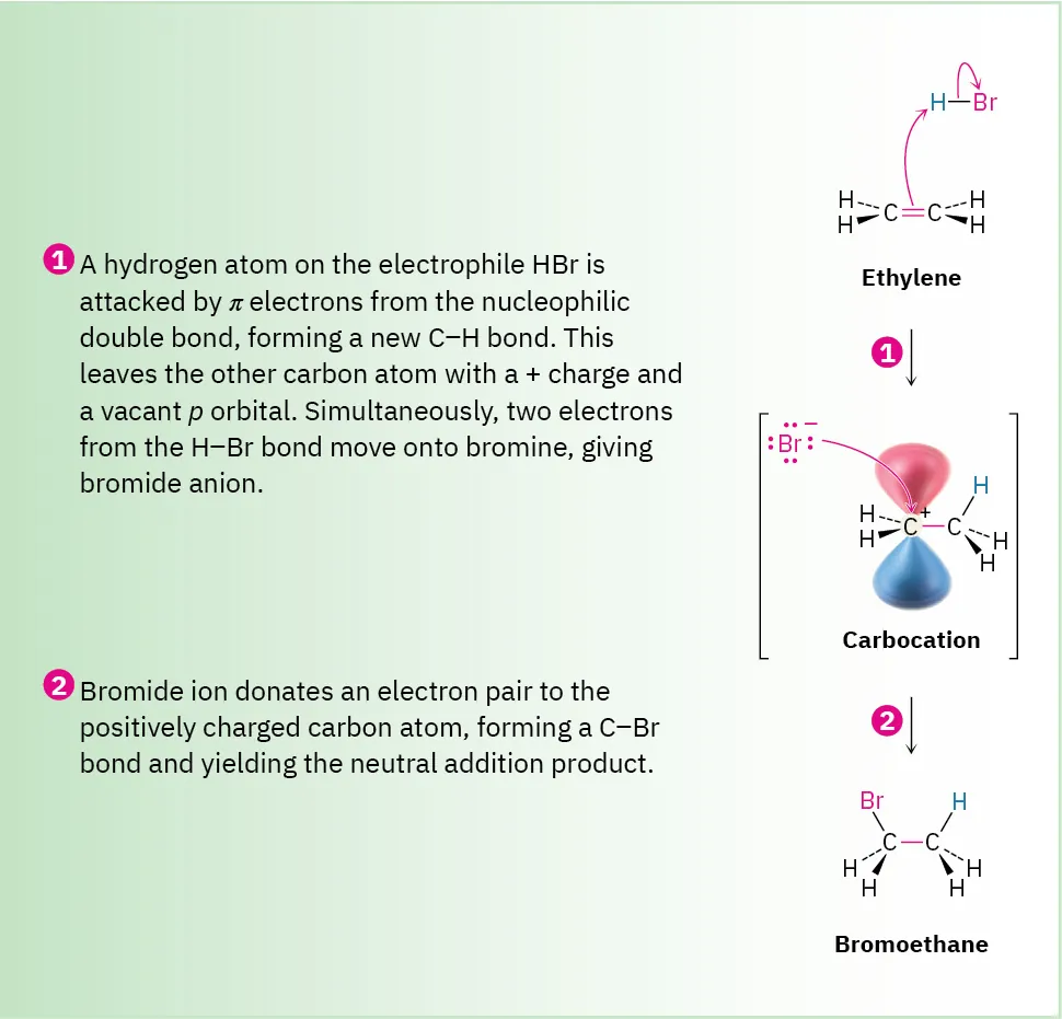 6.4 An Example of a Polar Reaction: Addition of HBr to Ethylene ...