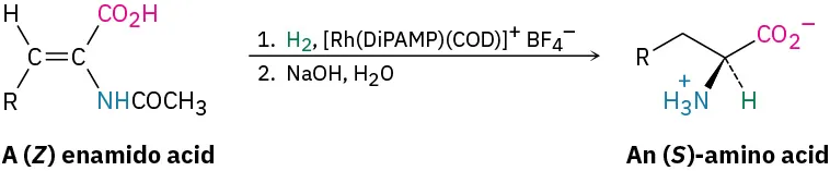 Ch. 26 Summary of Reactions - Organic Chemistry | OpenStax